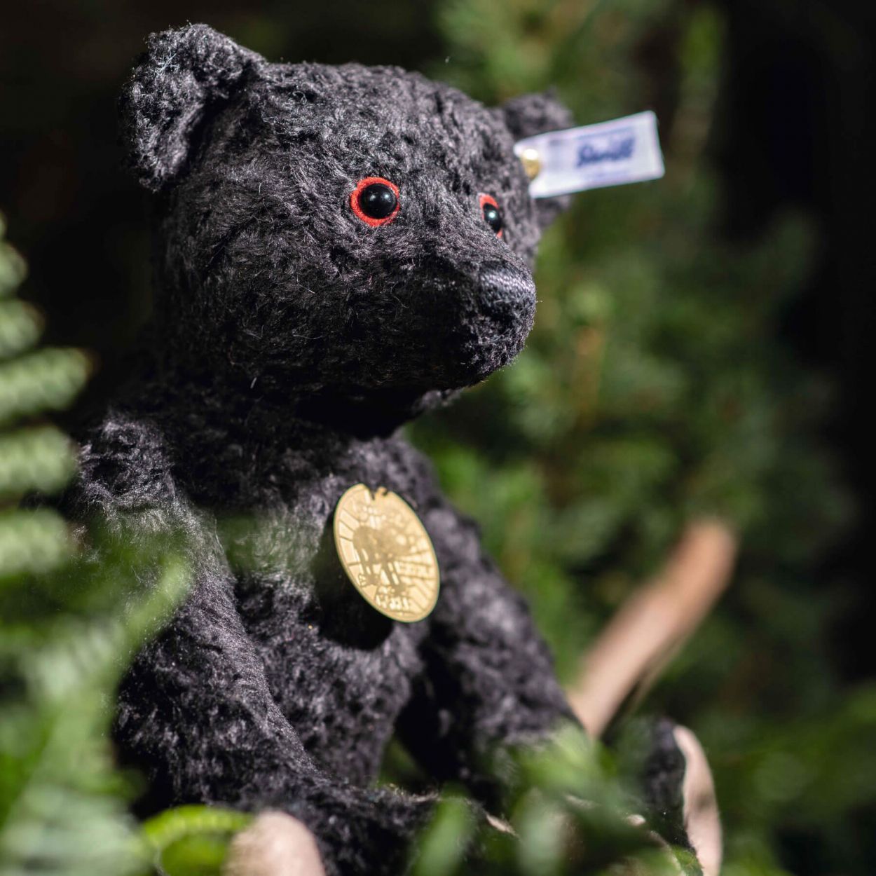 black steiff bear