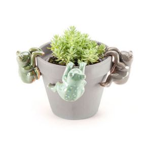 Alfresco Gardenware - Brands | Nature's Wonderland